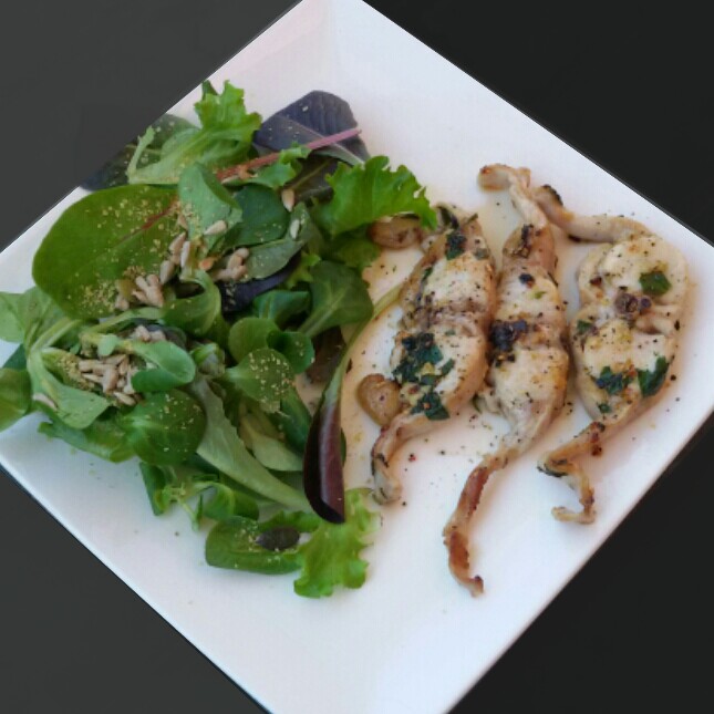 Medallones de conejo – Nutri Cocinillas